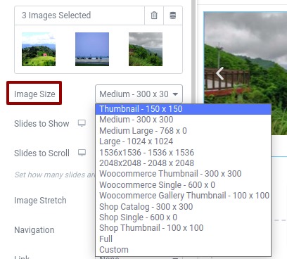How to work with image carousel with Elementor - ThemeOO || Free ...